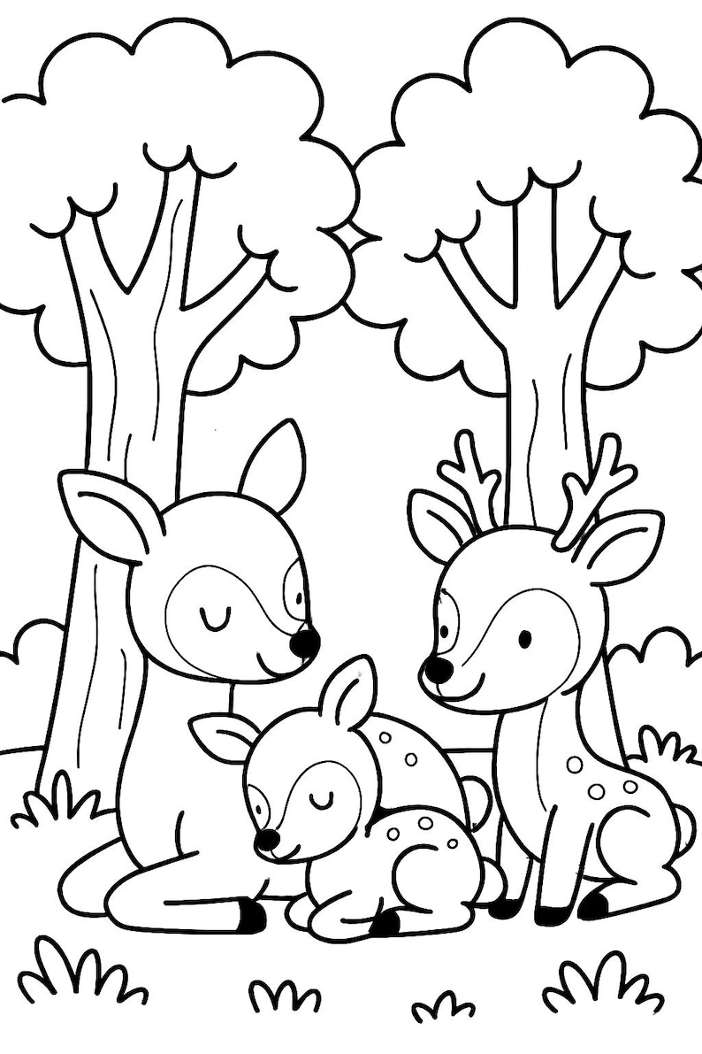 50 Forest Animals Coloring Pages : Kids A4 Printable ( PDF ) - Etsy
