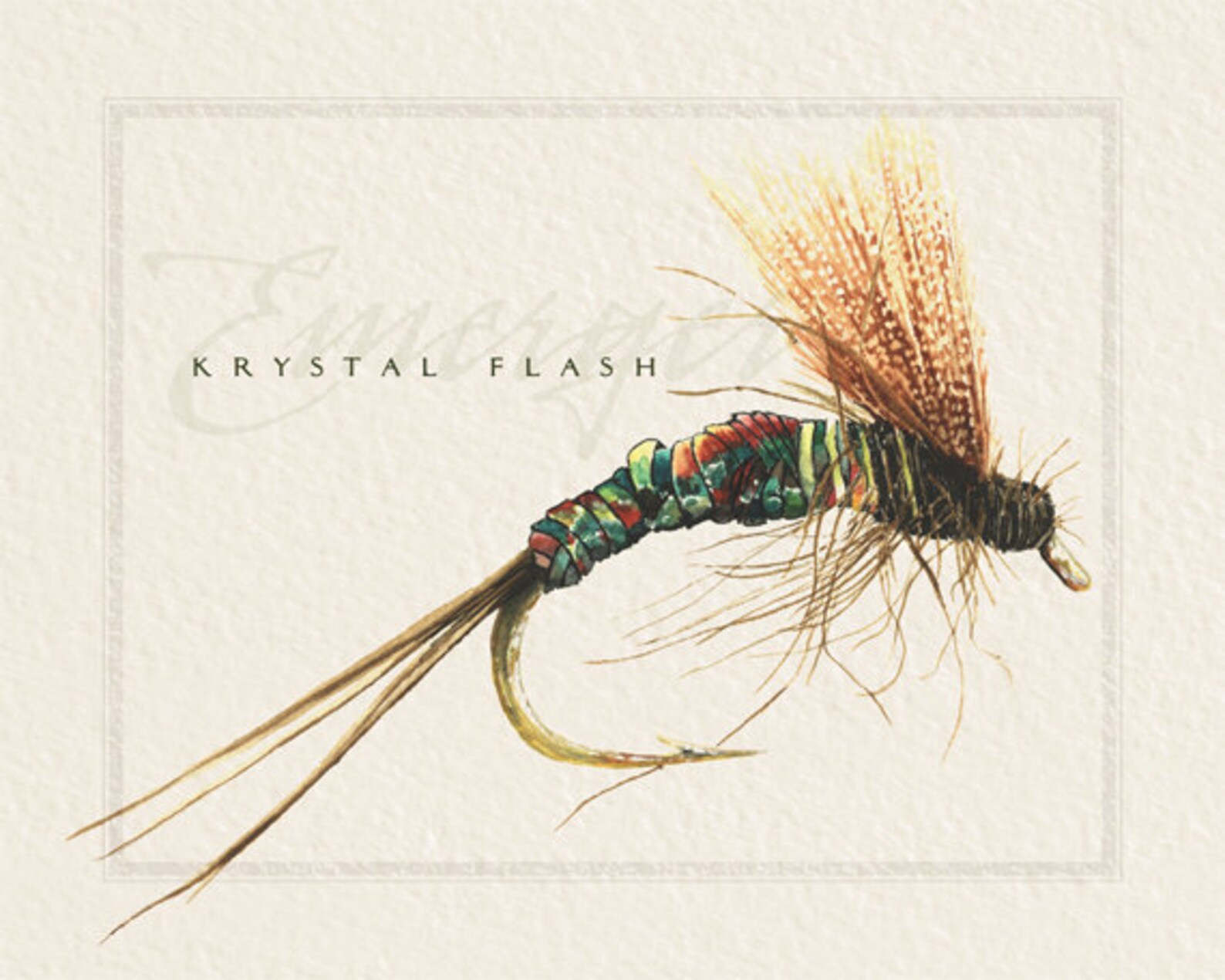 Fly Fishing Prints 8x10 Prints Nymph Flies Dry Flies - Etsy