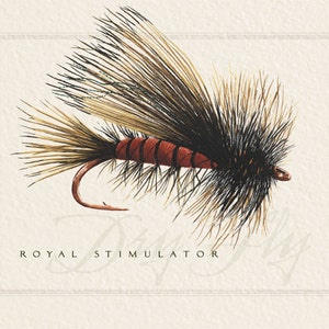 Fly Fishing Prints, 8x10 Prints, Nymph Flies, Dry Flies, Fisherman ...