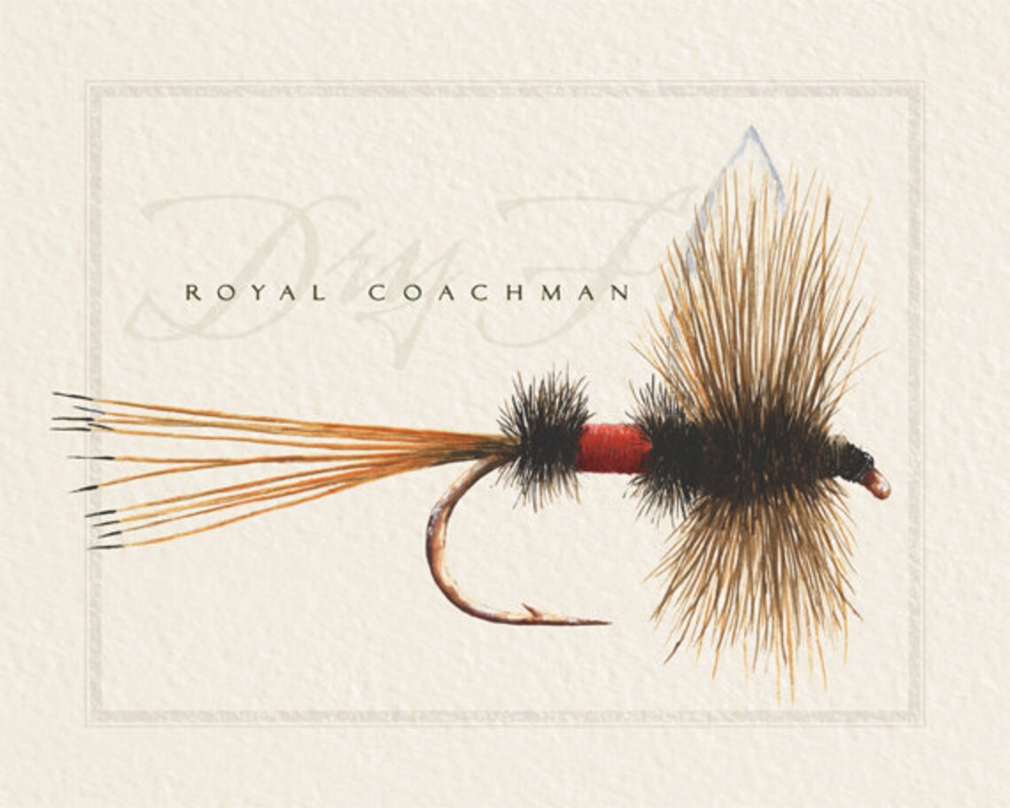 Fly Fishing Prints 8x10 Nymph Flies Dry Flies Fisherman - Etsy