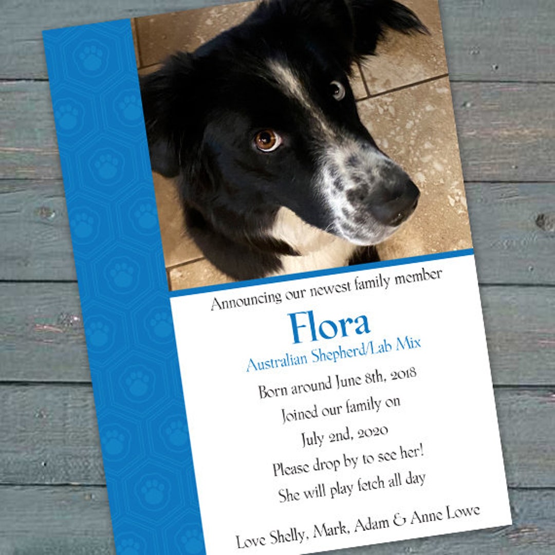 Puppy Announcement, New Puppy Announcement, Puppy Party, Four Legged ...