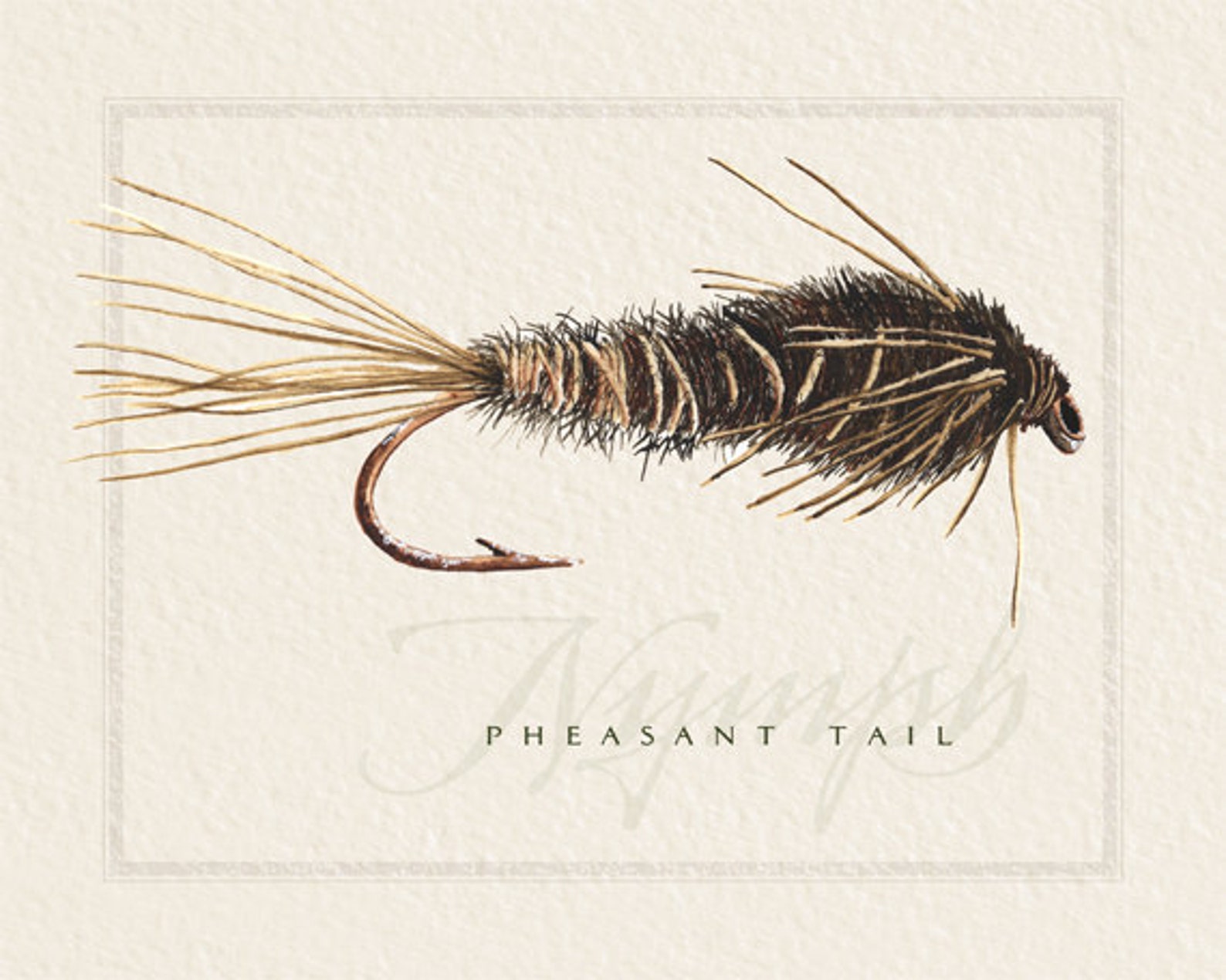 Fly Fishing Prints 8x10 Nymph Flies Dry Flies Fisherman - Etsy