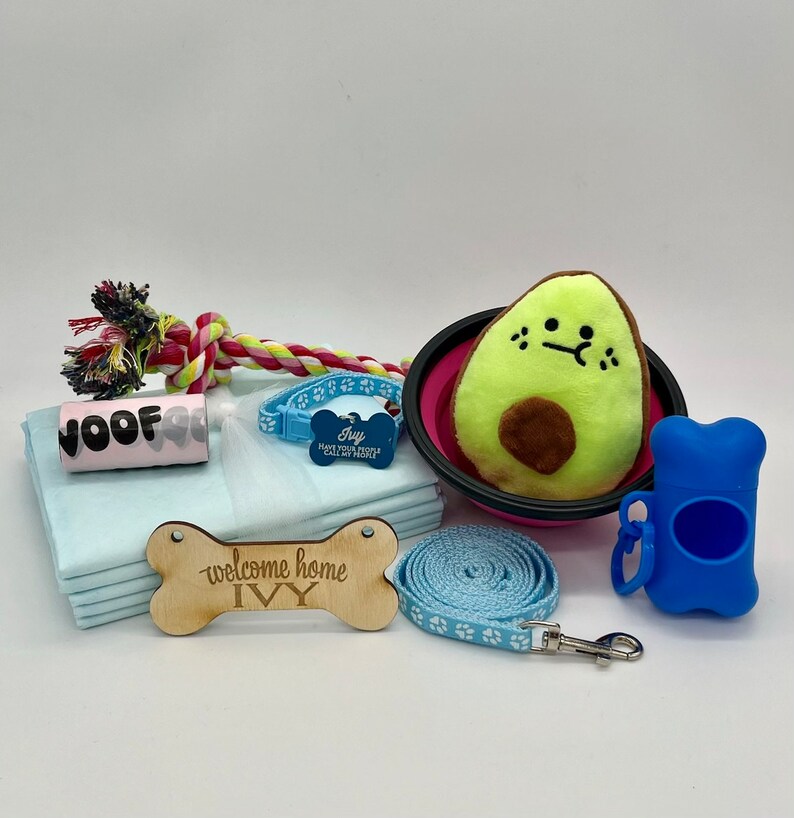 Sniff and Smile Starter Set | New Puppy Bundle | New Puppy Starter Kit ...