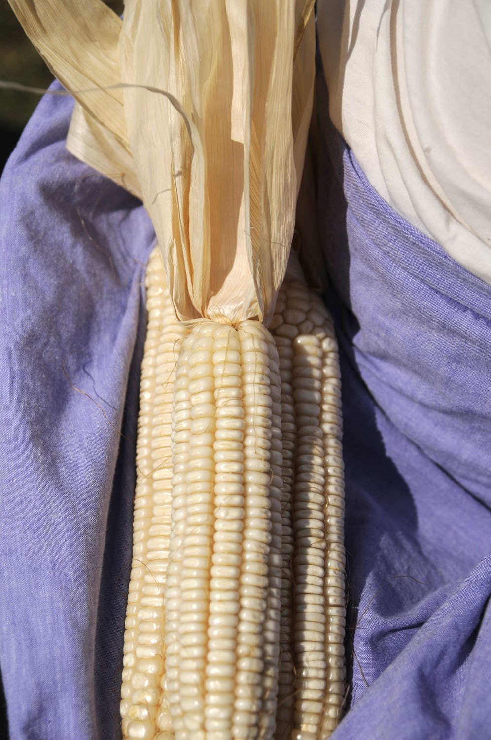 Hickory King Corn Grits – Coarse Heirloom Polenta, 5 Lbs - Etsy