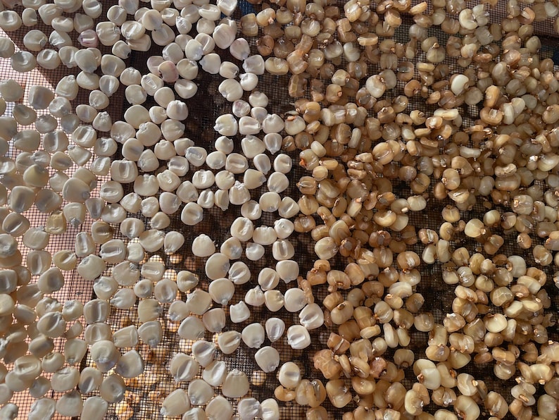Hickory King Dried Hominy, Heirloom White Corn, Pozole - 2 Lbs - Etsy