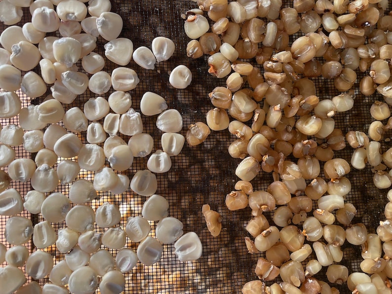 Hickory King Dried Hominy, Heirloom White Corn, Pozole - 2 Lbs - Etsy