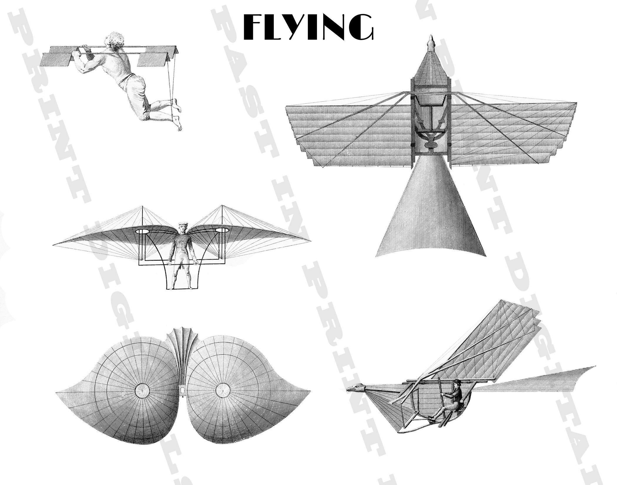 Flying Machines Illustration Black & White, Circa 1880's, Digital Print ...