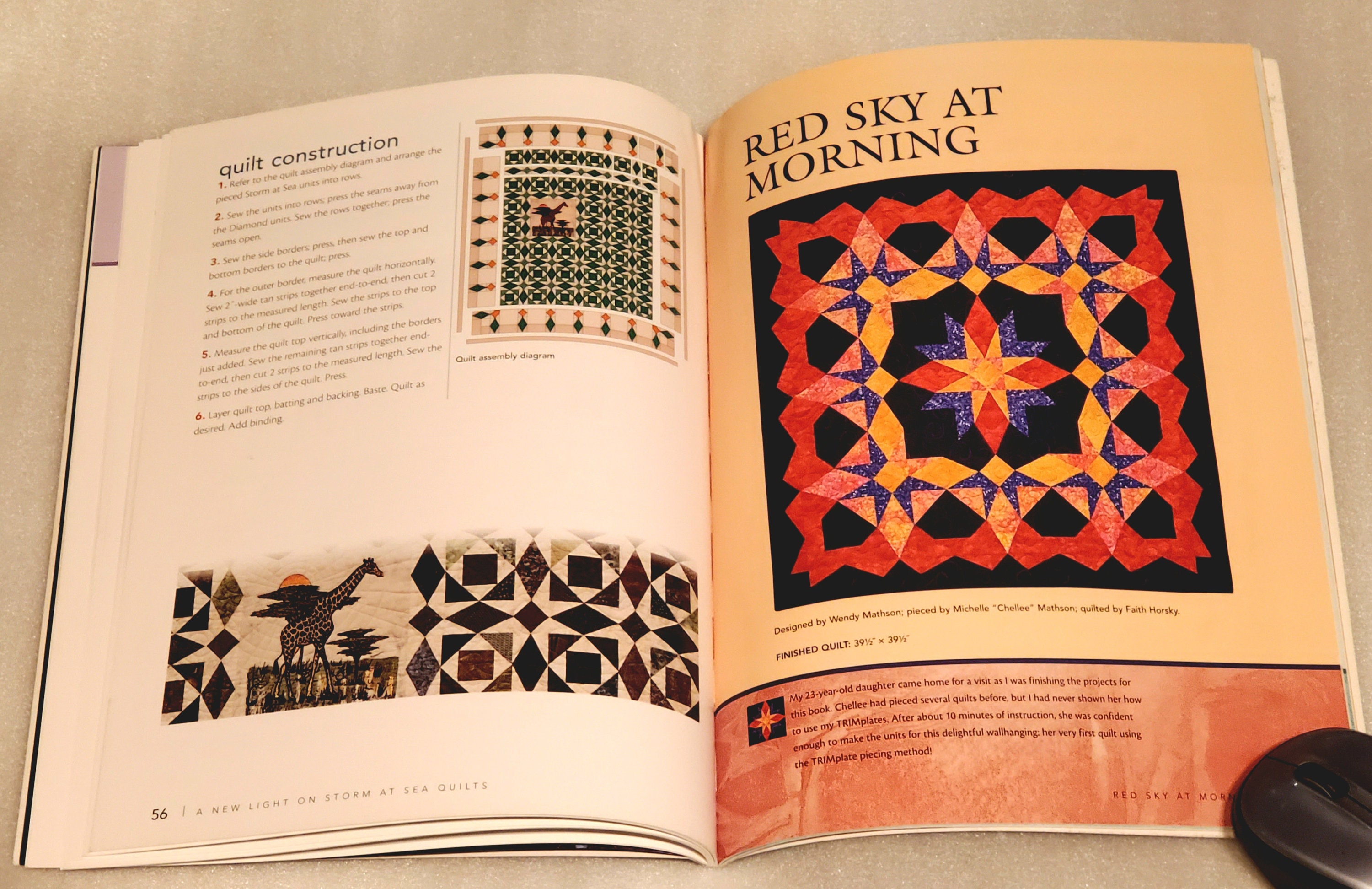 A New Light on Storm at Sea Quilts Book, One Block, an Ocean of Design ...