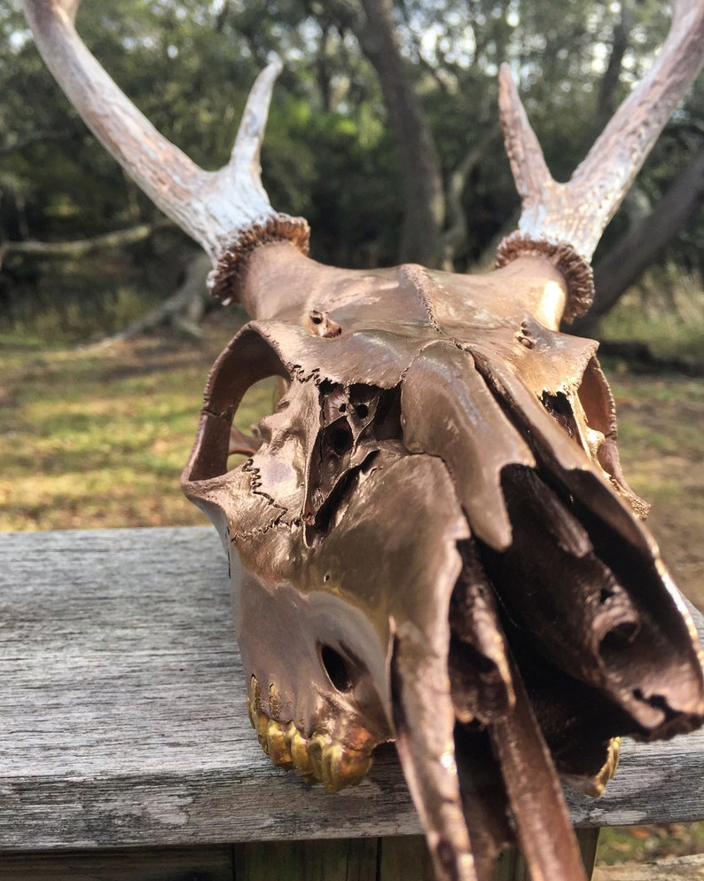 SATIS // Painted Stag Deer Skull - Etsy