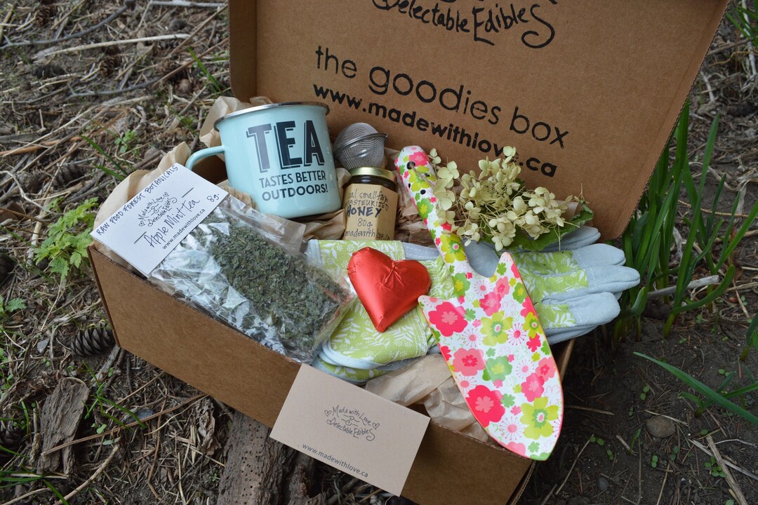 The Goodies Box - Eco Garden Gift Box Leather & Cotton Gloves Garden ...
