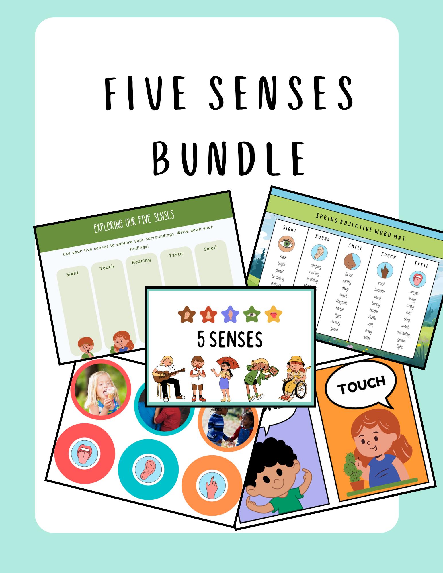 Five Senses Posters & Flashcards Bundle | Preschool Kindergarten ...