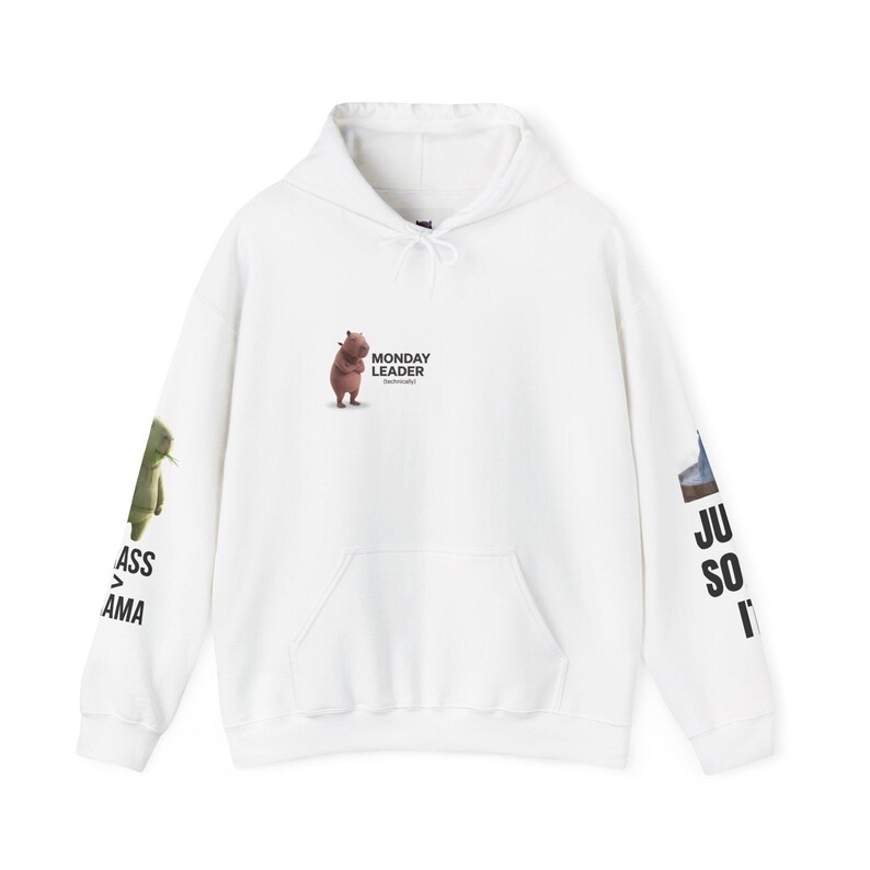 Funny Capybara Hoodie - Monday Mood Collective - Cute Animal Meme ...