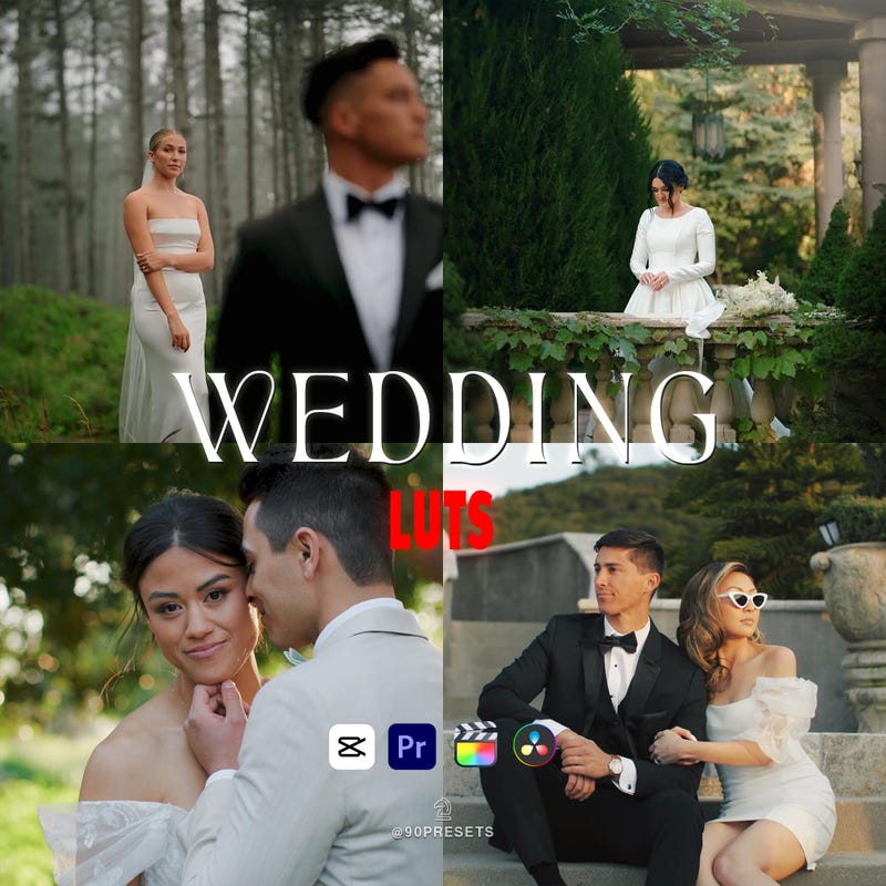 Lut for Canon - Etsy