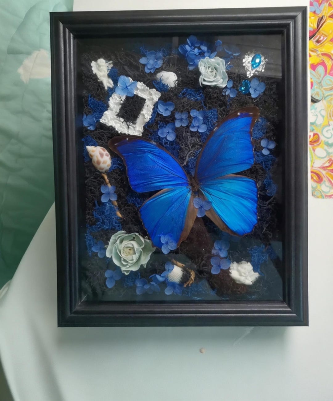 Elegant Blue Morpho Butterfly Specimen Frame - Perfect Gift for ...