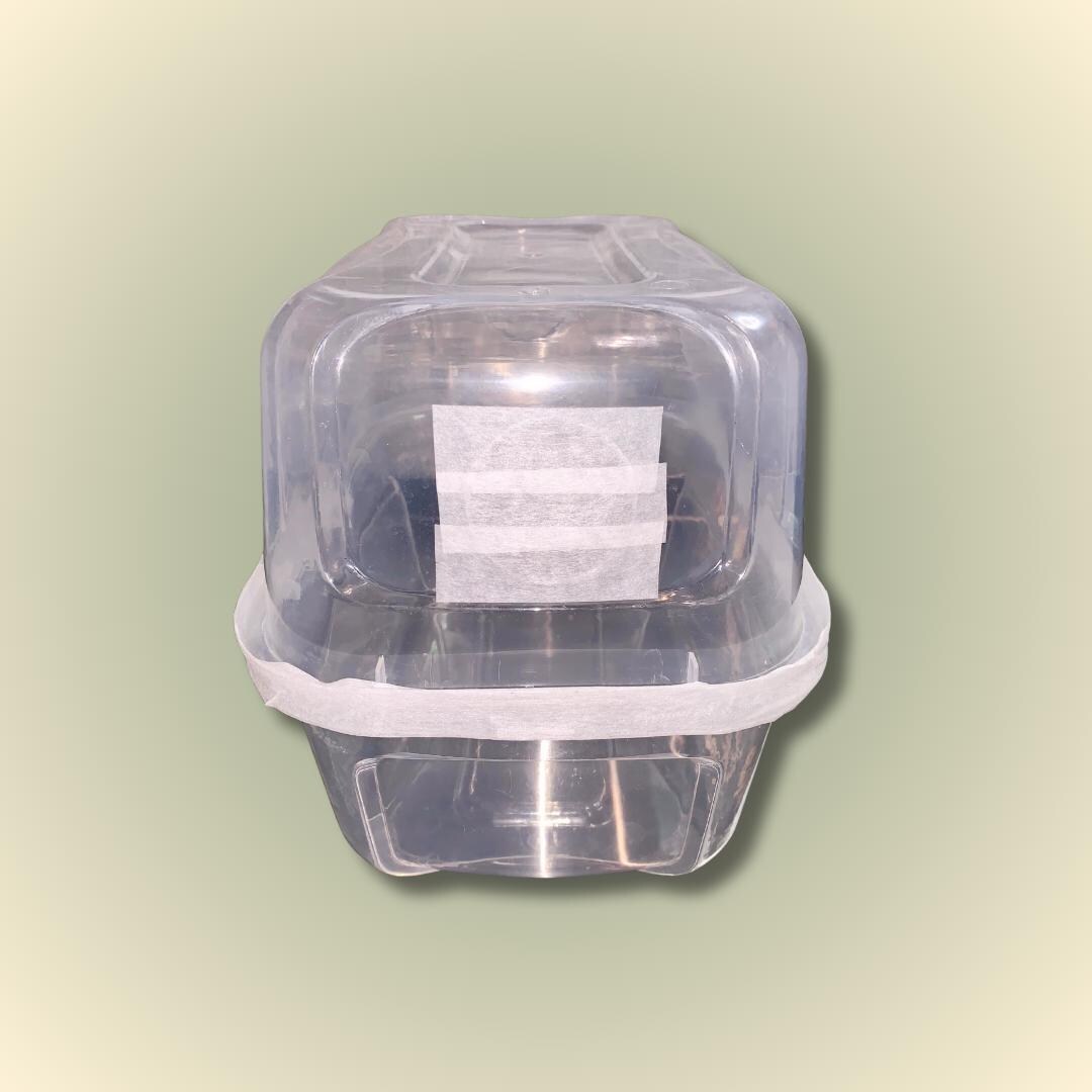 Beginner Mushroom Fruiting Chamber | Small Shoebox Monotub for Home ...
