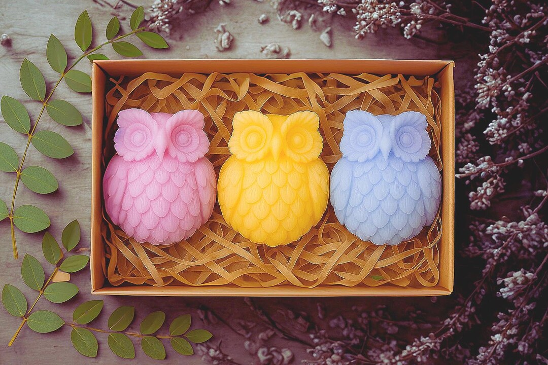 Owl Soap Gift Set • Goat Milk Owl Bar • Spa Box for Her - Etsy