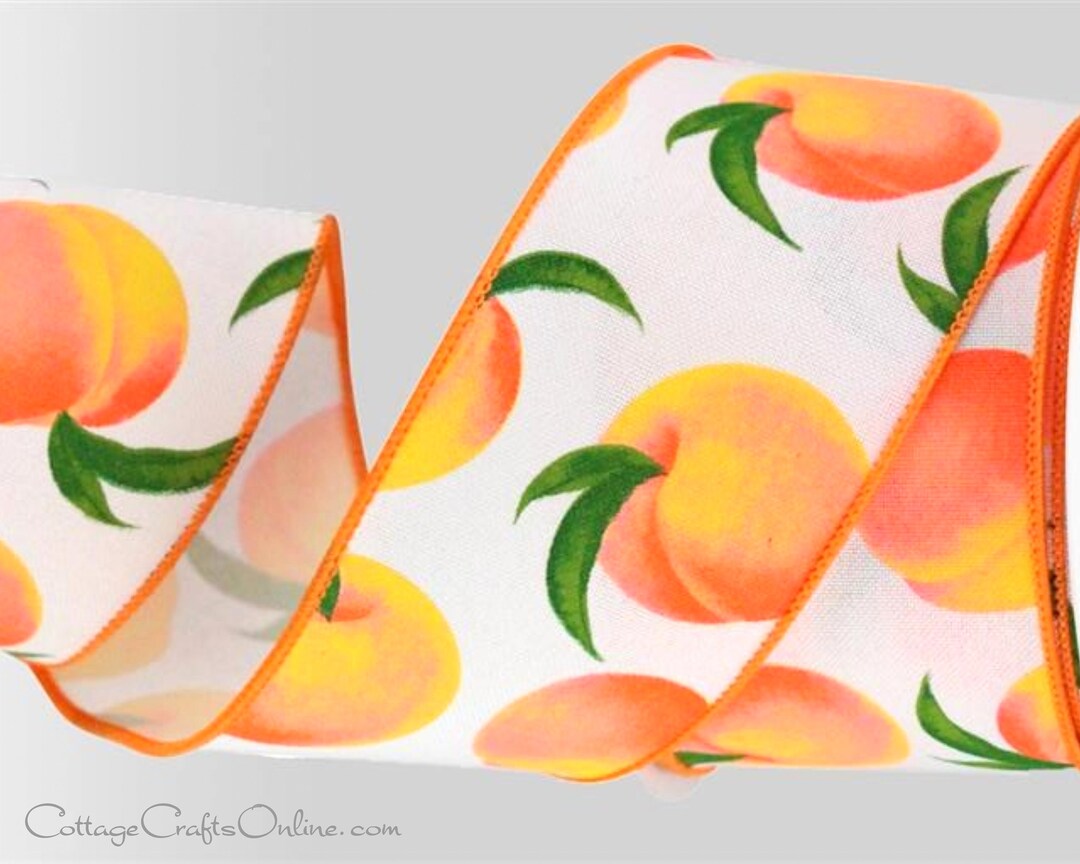 Peach Wired Ribbon 2.5 Wide TEN YARD Roll Spring - Etsy