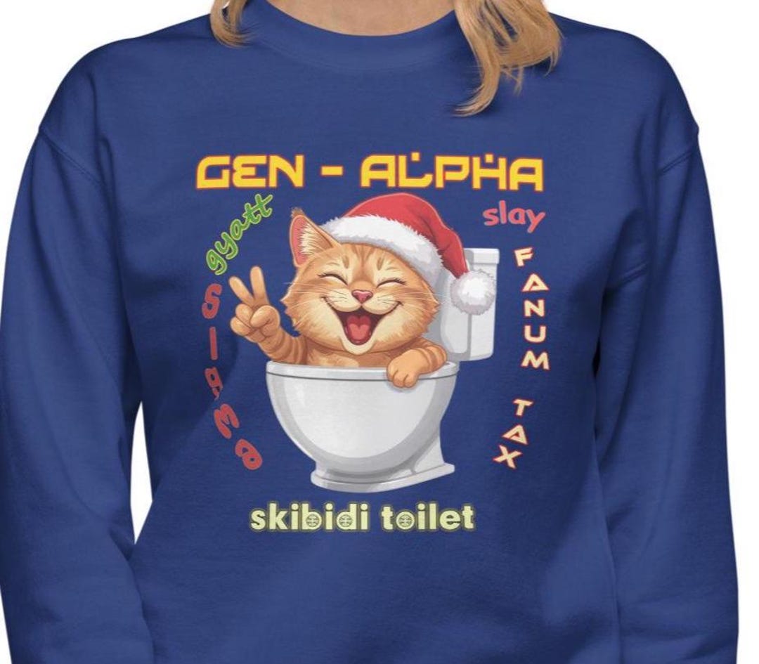 Funny Gen Alpha L Gen Z Skibidi Cat Christmas Hoodie | Santa Cat Meme ...