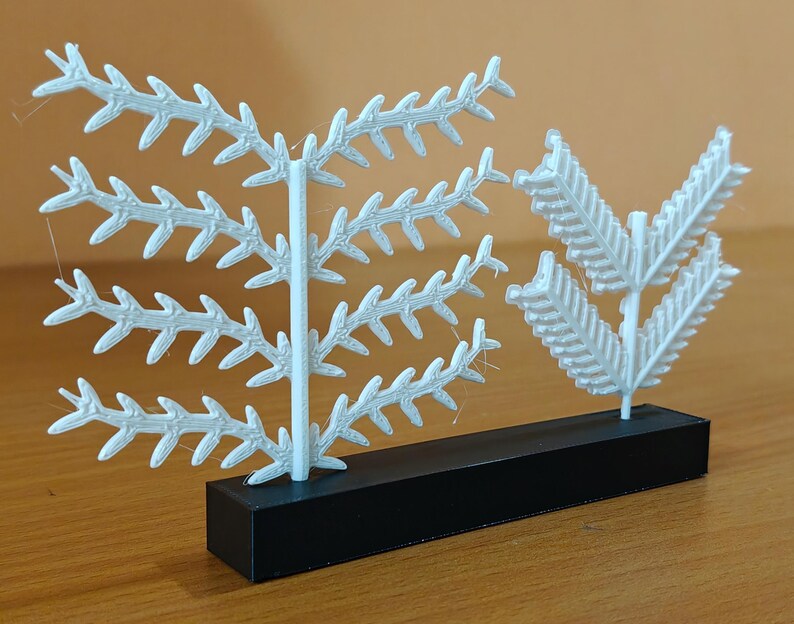 Scientific Bird Feather Anatomy Model - Barb & Barbule Educational ...