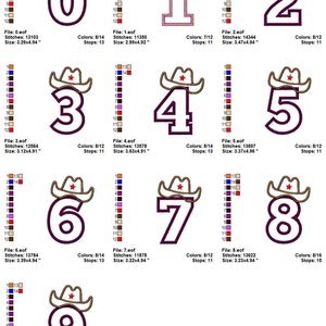 Rodeo Time Applique Number Set - Machine Embroidery Design - 4x4 Hoop,5 ...