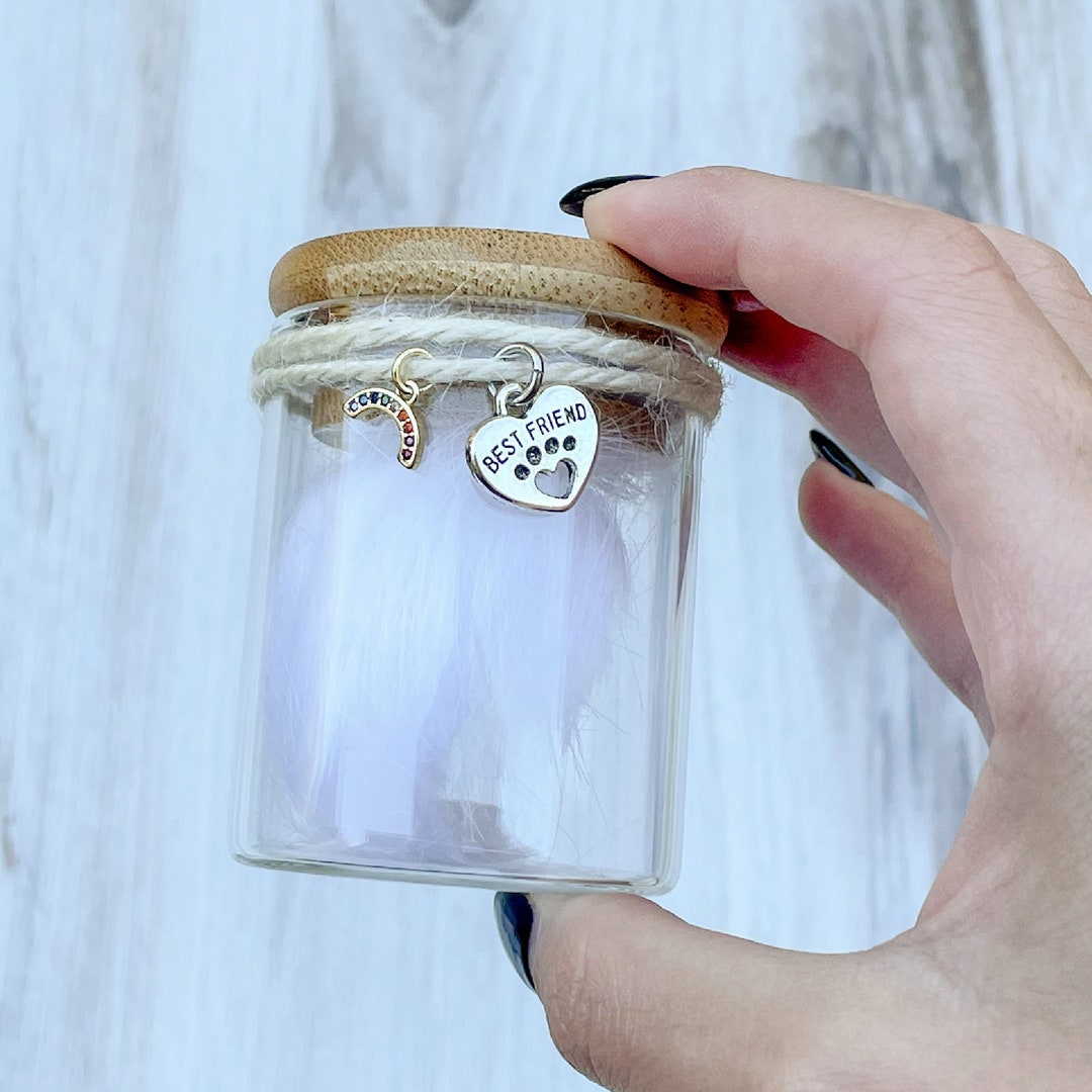 Pet Fur Memorial Jar - Rainbow Bridge Memorial - Pet Tag Keeper - Pet ...