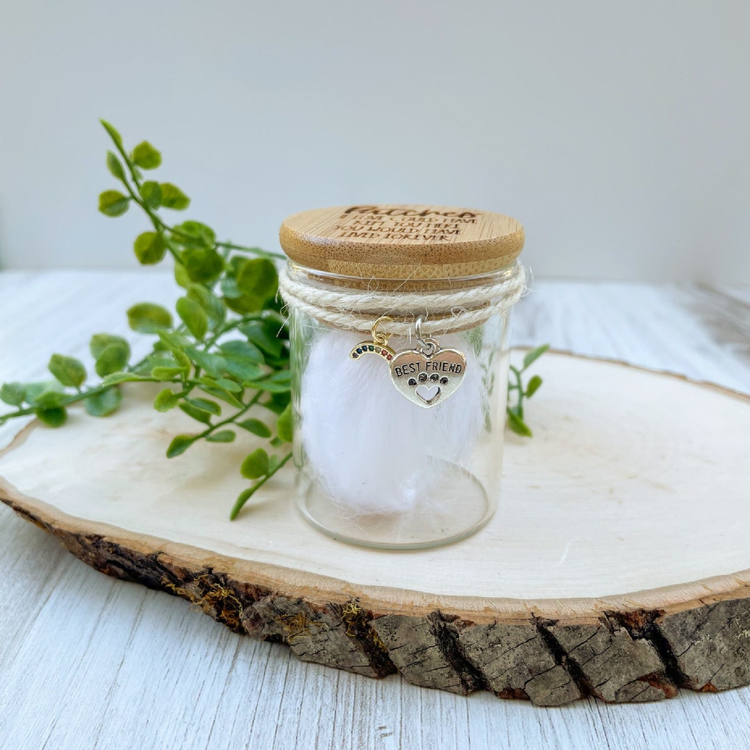 Memorial Pet Jar - Pet Memorial Jar - Pet Memorial Gift - Pet Fur ...