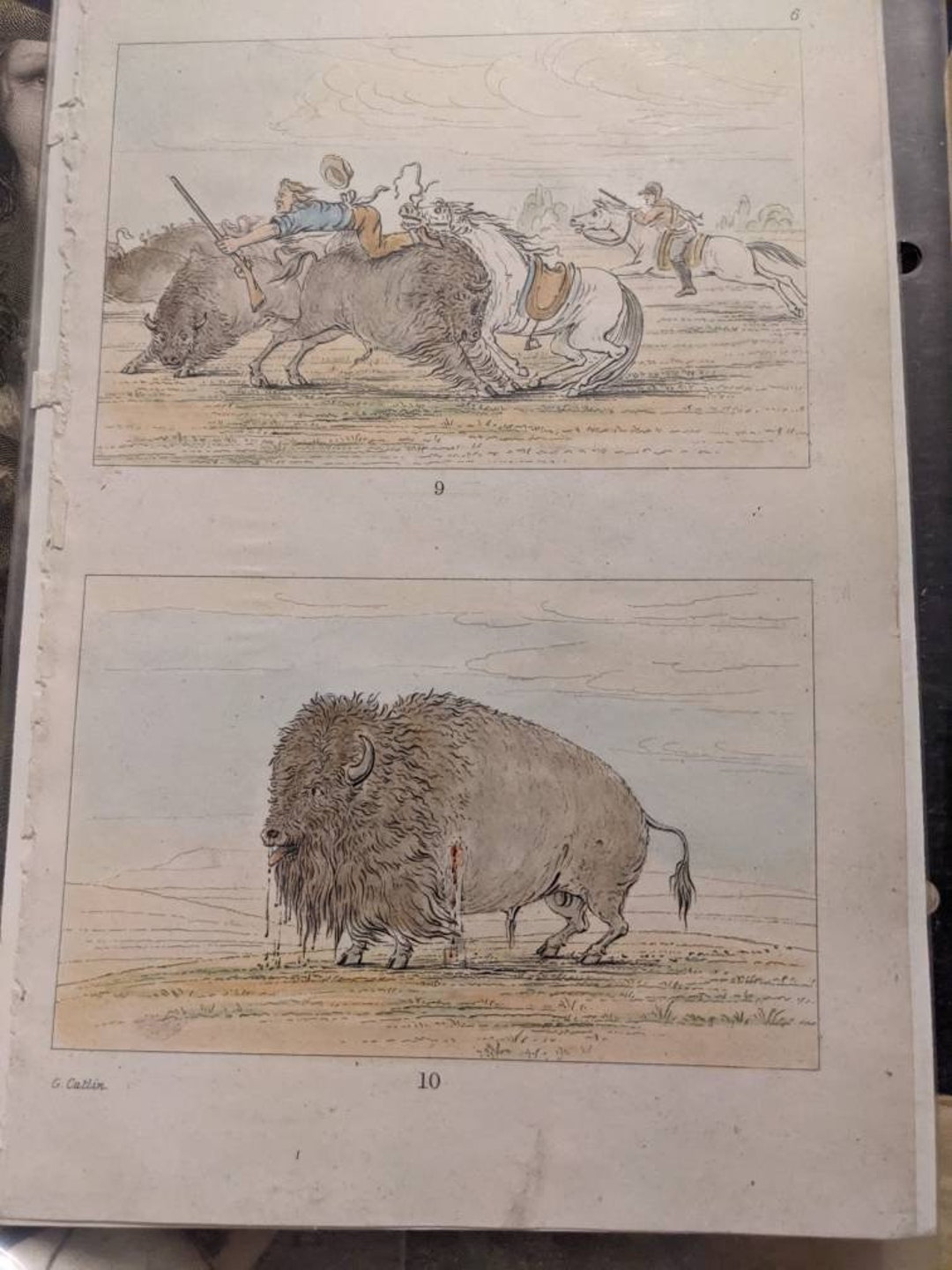 George Catlin, Plate 6, Vintage Lithograph - Etsy