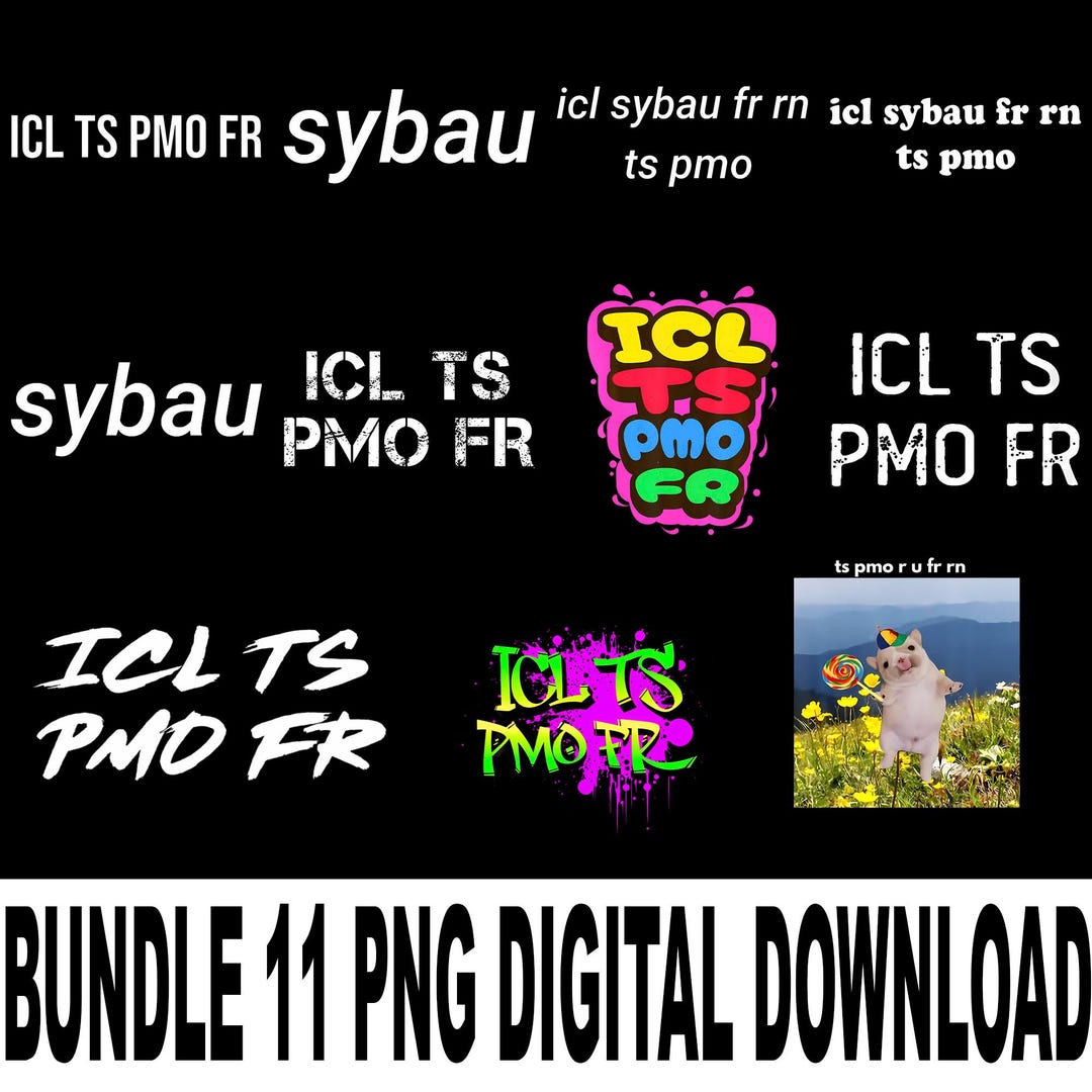 Icl Ts Pmo Sybau PNG – Funny Gen Z Slang Brainrot Meme Viral Clipart - Etsy