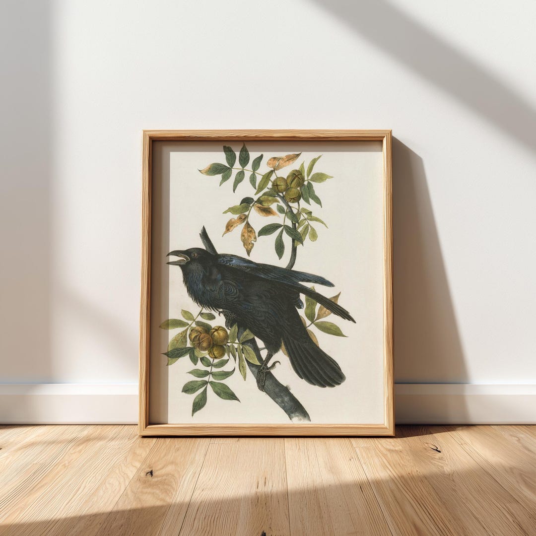 Retro Raven Digital Print | Colored Pencil | Bird Wall Art (digital ...