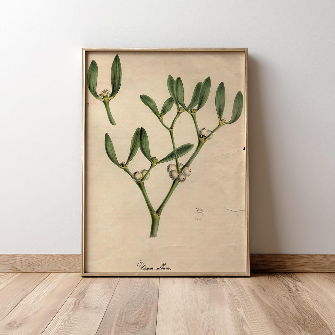 Mistletoe Poster | Printable Painting | Christmas Wall Art (digital ...