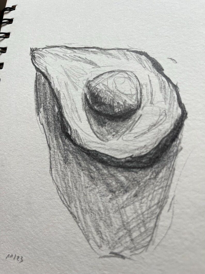 Original Drawing of Avocado | Hand-painted | Small Pencil Sketch | Wall ...