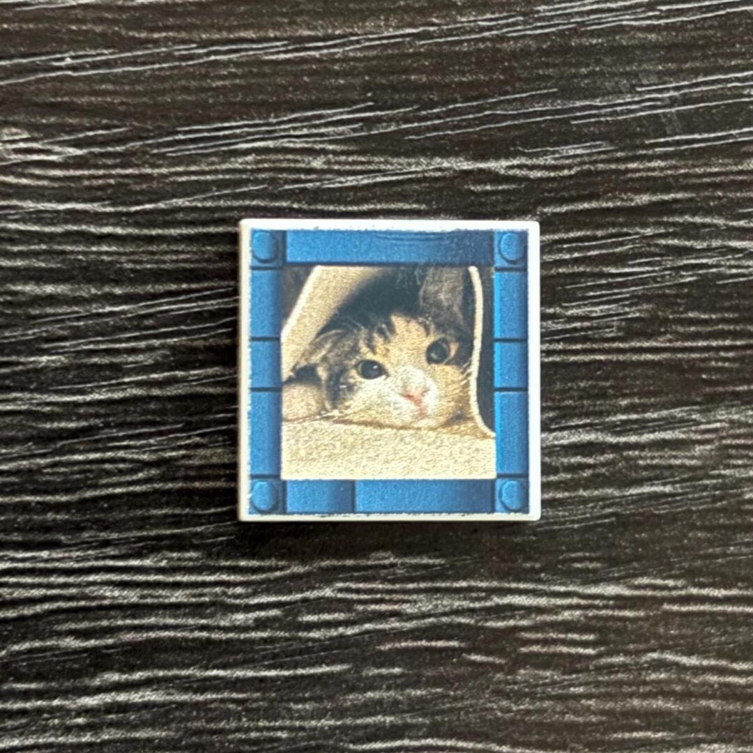 Custom Picture Stickers for LEGO® 2x2 Tiles - Set of 10 - Etsy