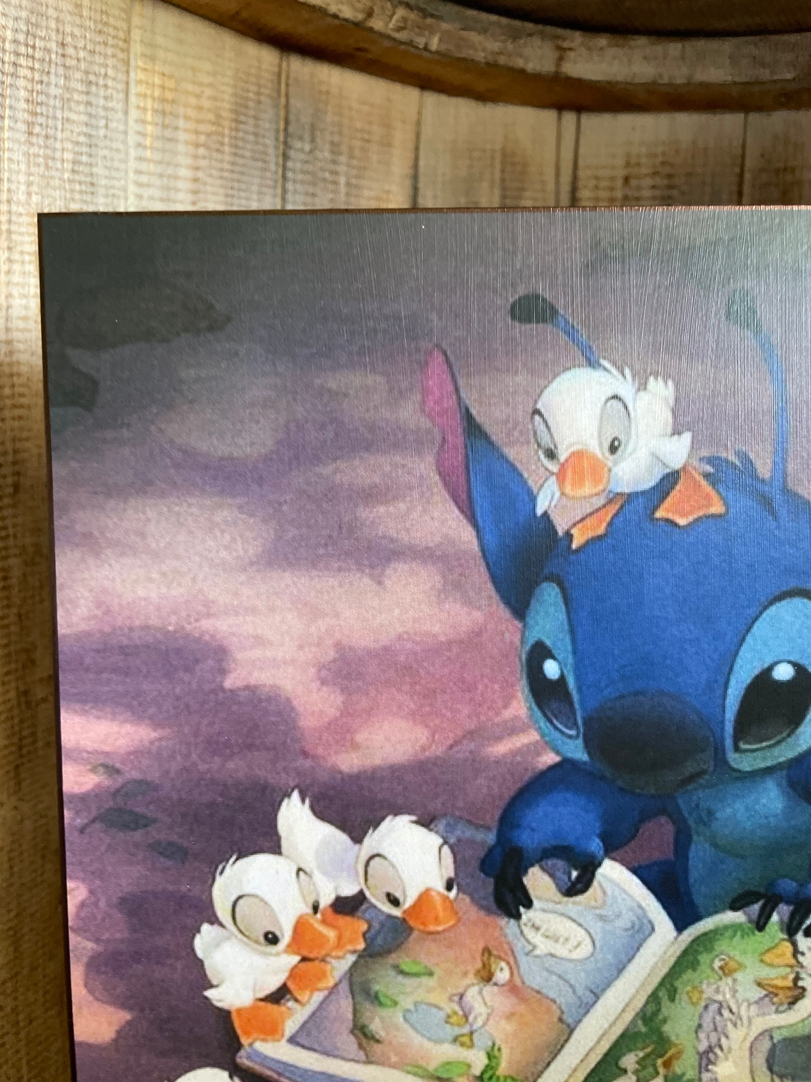 Stitch Reading to Ducks Disneyland Art | Etsy