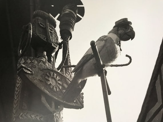 Disneyland Enchanted Tiki Room Barker Bird Art - Etsy