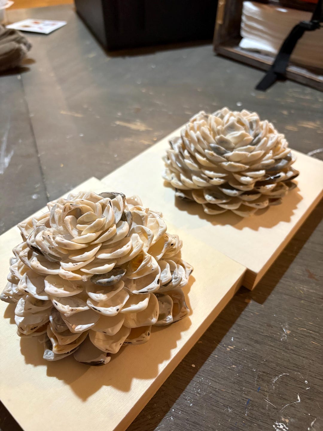 Clam Shell Lotus Flower Sculpture - Hamptons Beach Decor - Etsy
