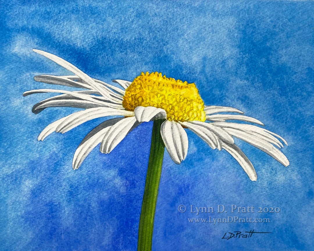 Daisy Original Watercolor Painting - Etsy