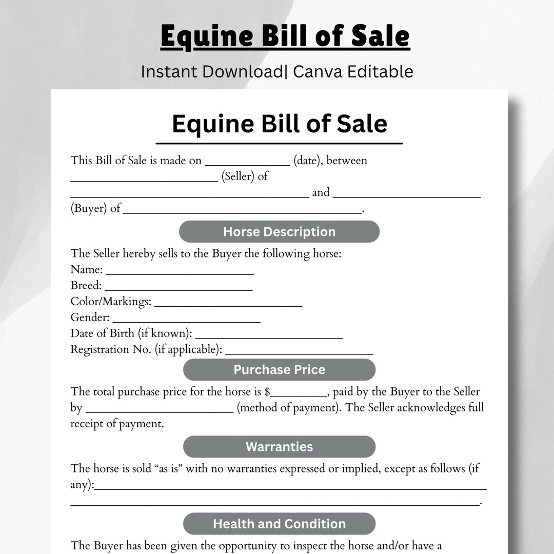 Equine Bill of Sale Form, Transfer Ownership, Sale Form, Private Sale ...