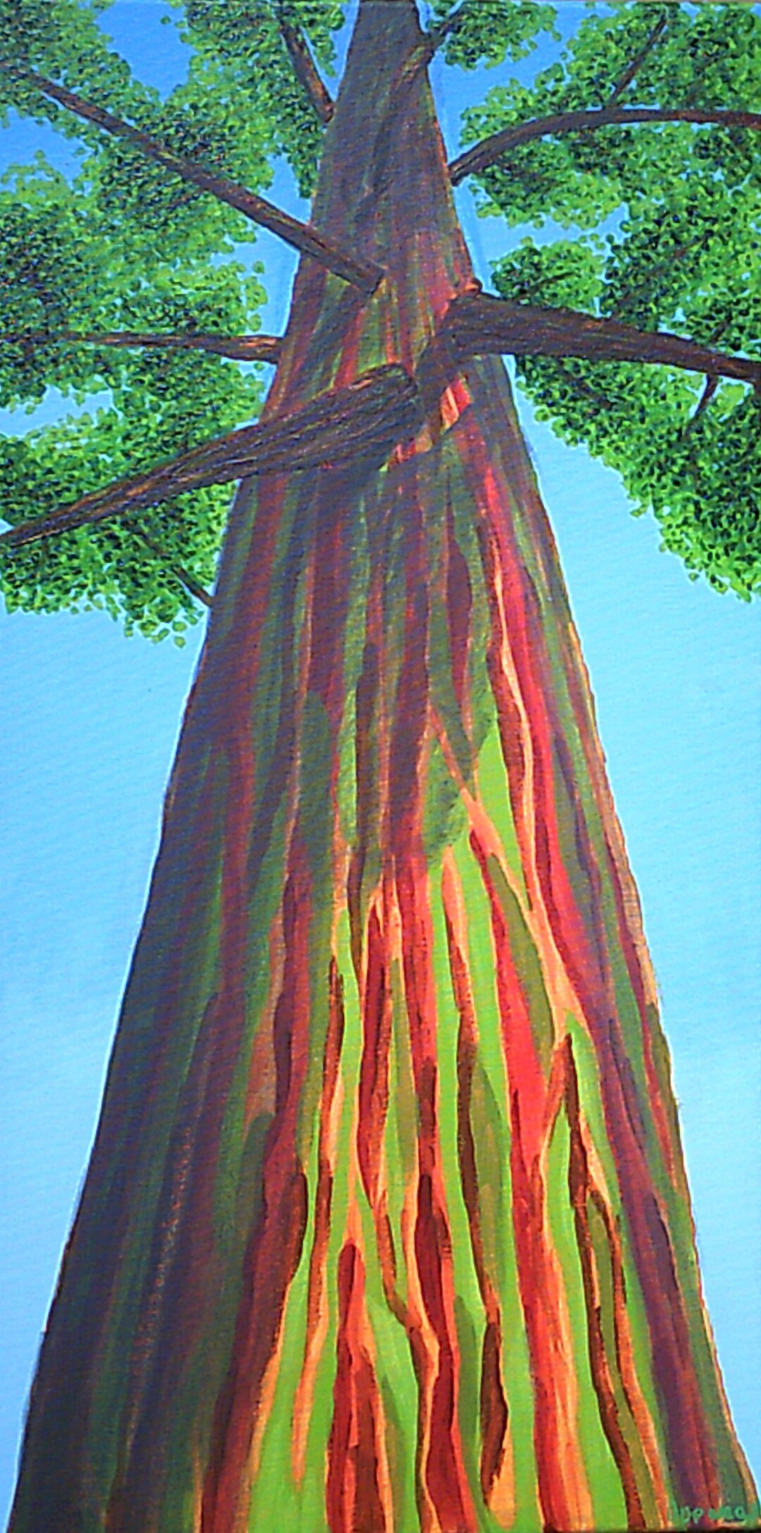 Eucalyptus Deglupta Original Acrylic Painting - Etsy