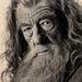 Wizard Portrait PNG | Dithered Laser Engraving File - Etsy
