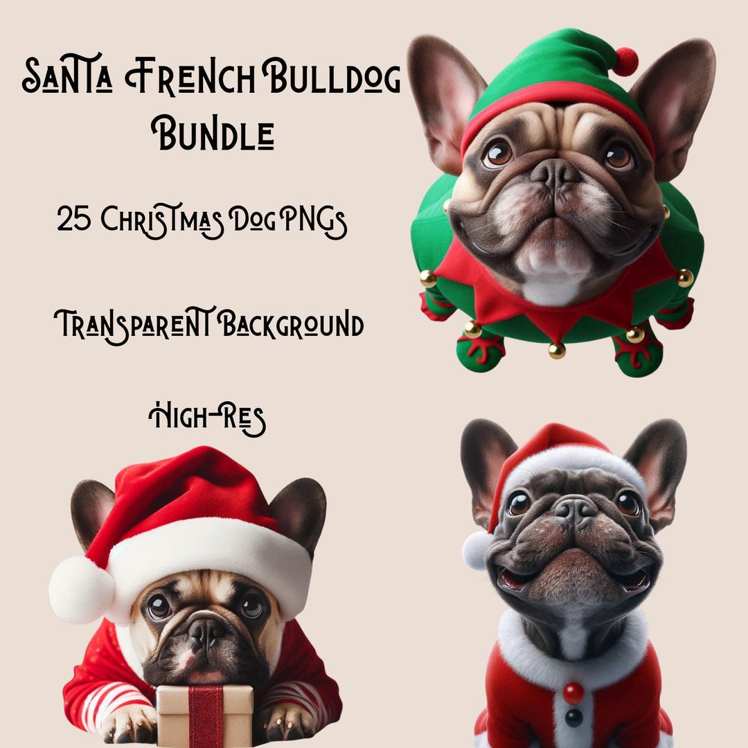 French Bulldog Clipart Christmas PNG, Holiday Dog Clipart, Cute ...