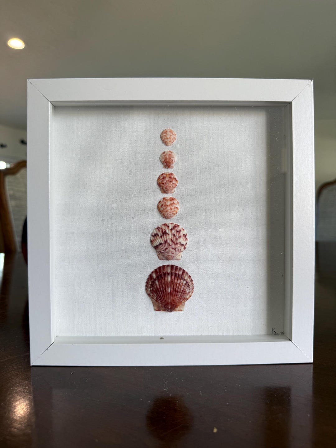 Red Pink Small to Large Minimalist Shell Art - Framed. 8x8 Inches - Etsy