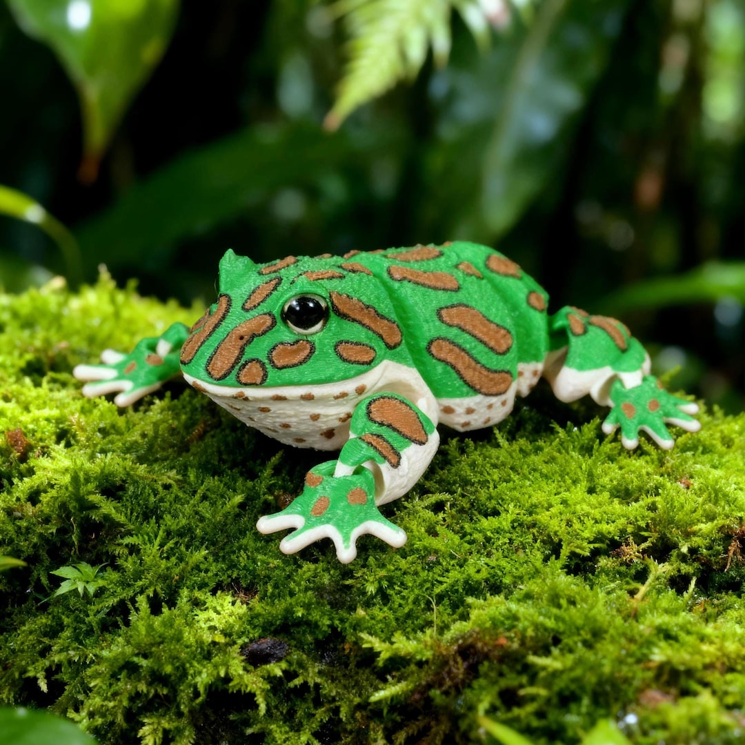 3d-printed Pacman Frog | Articulated Figure | Display Décor - Etsy