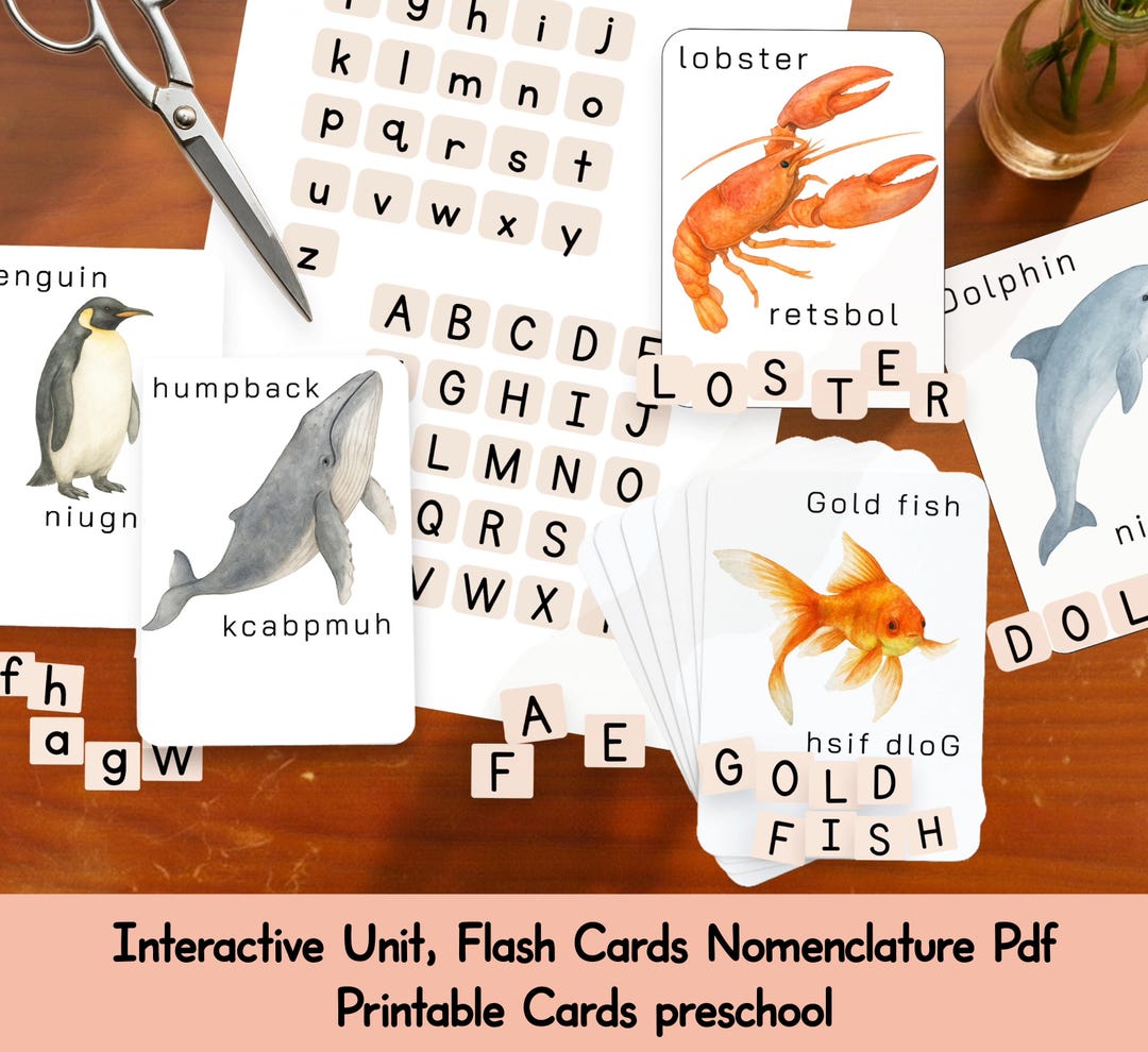 Ocean Alphabet Flash Cards, Matching & Puzzle Games | Preschool ...
