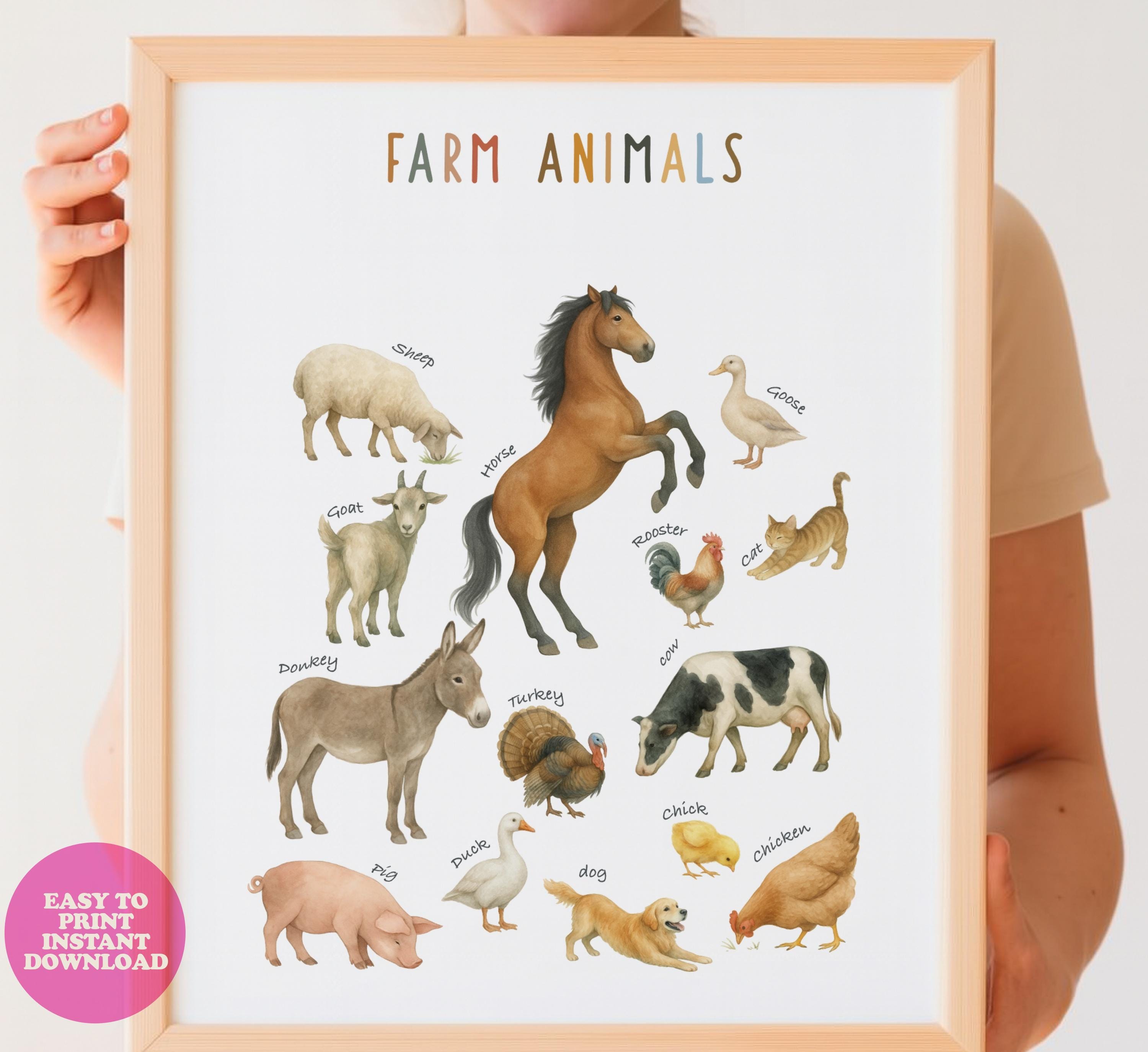 Farm Animals Poster Educational Poster, Nursery Wall Decor, Playroom ...