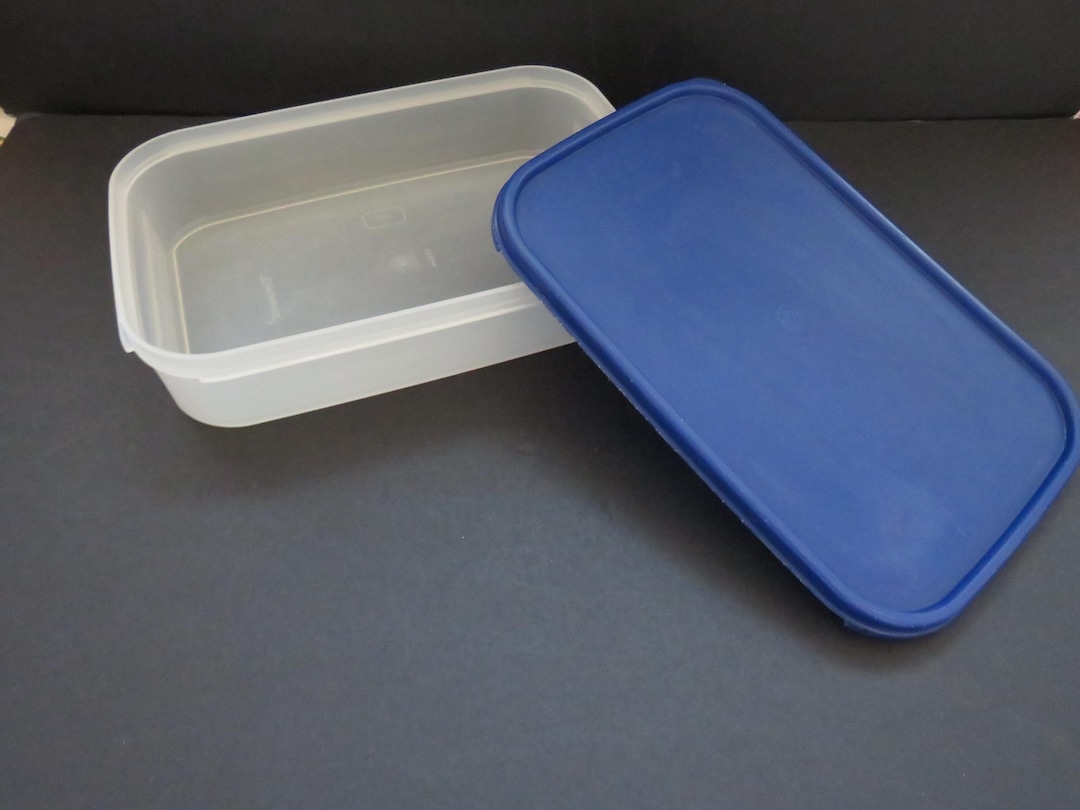 Tupperware Modular Mate Storage Container With Blue Lid - Rectangle ...
