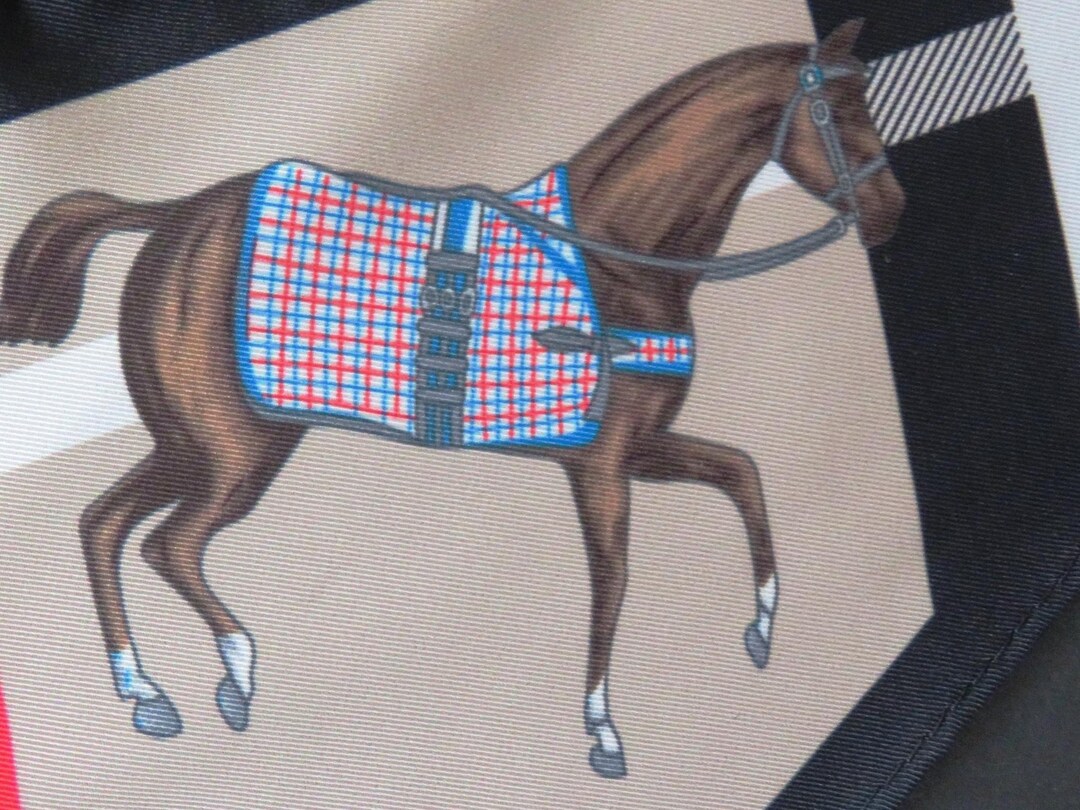 Womens Equestrian Horse Scarf - Long Plaid Scarf - Race Horse Theme ...