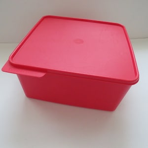 Tupperware Large Square Container 8.5 Inch Watermelon Square 2 Piece ...