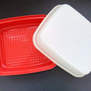 Tupperware Large Season Serve Marinade Container - Paprika Orange ...