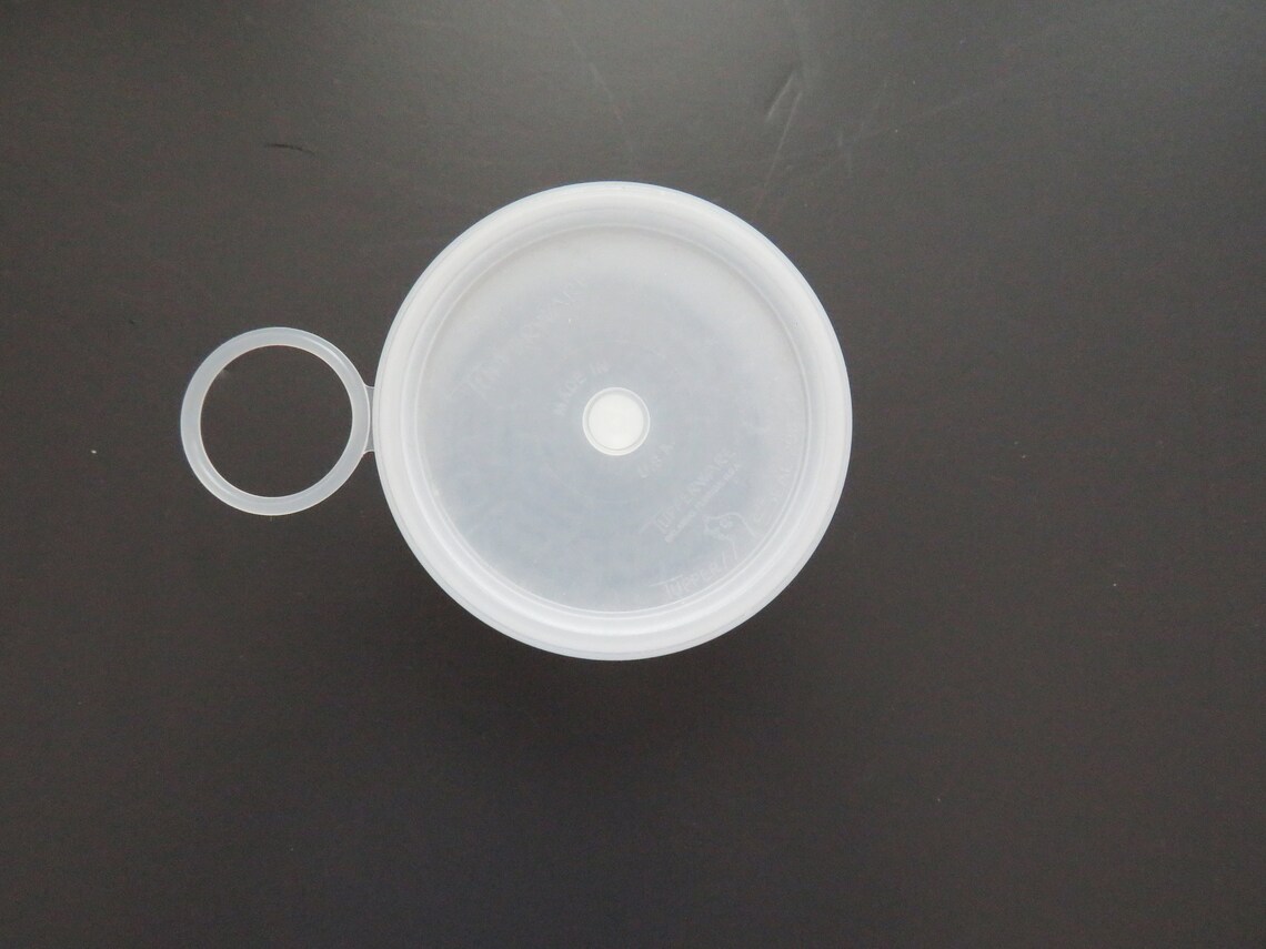 Vintage Tupperware 2 Piece Scrubber With Spring and Seal - Etsy