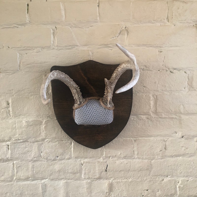 Mounted Deer Antlers - Etsy